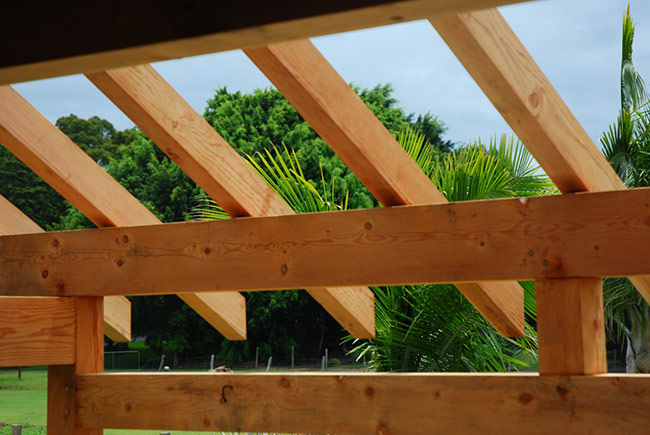 Byron Backyard Studios